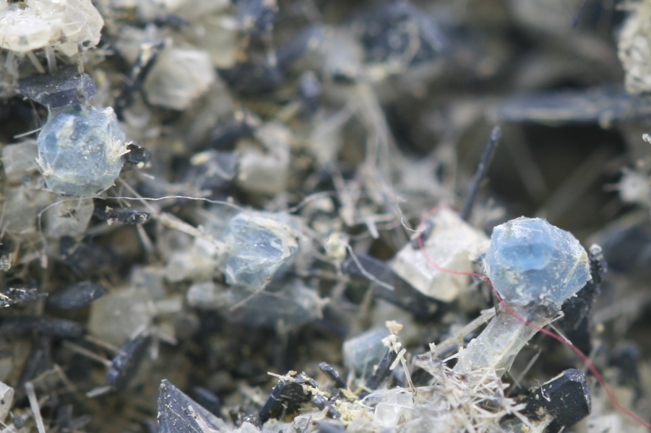 Sodalit, leucit | Sběratel minerálů