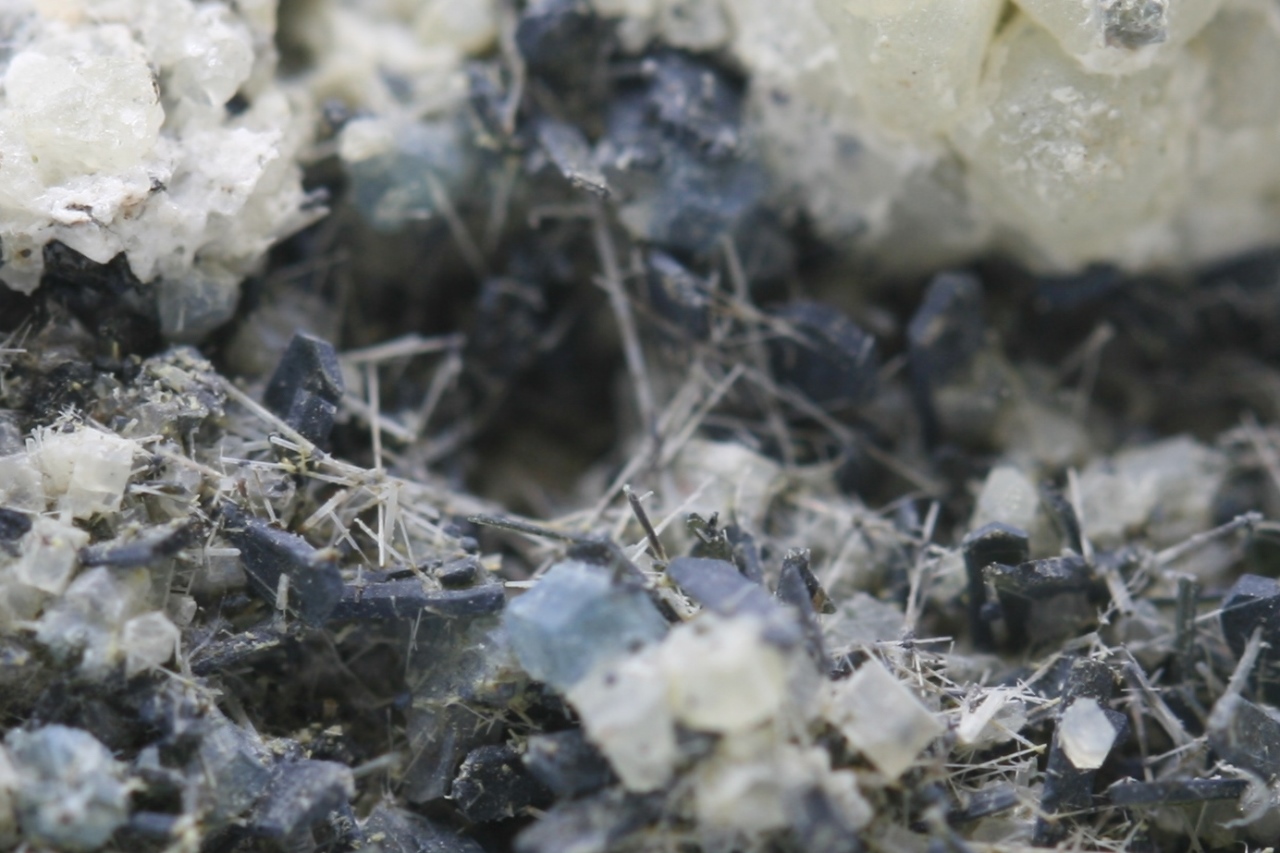 Sodalit, leucit | Sběratel minerálů