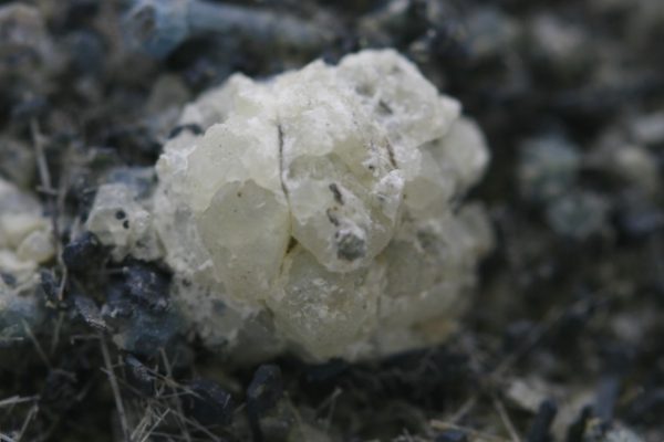 Sodalit, leucit | Sběratel minerálů